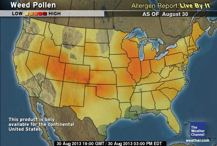 Still Miserable – Learning Turkey